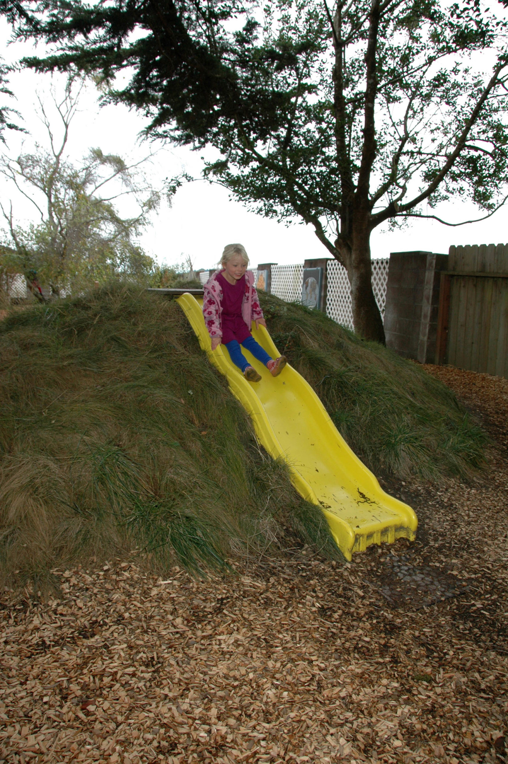Nature-Inspired Play Conference | My HCOE